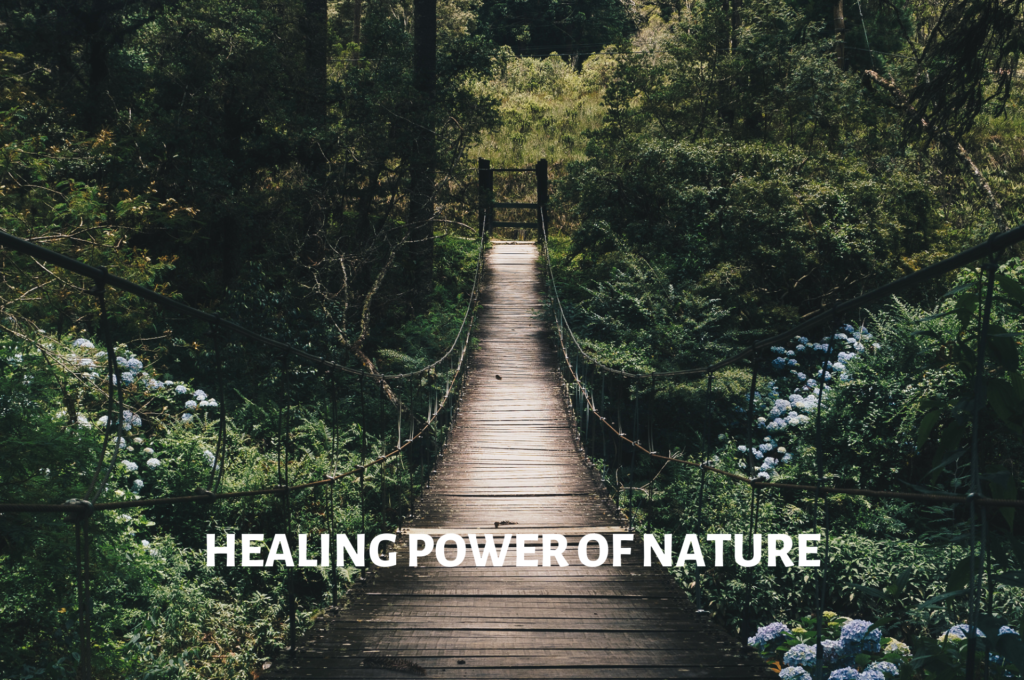 The Healing Power of Nature: Benefits of Spending Time Outdoors ...